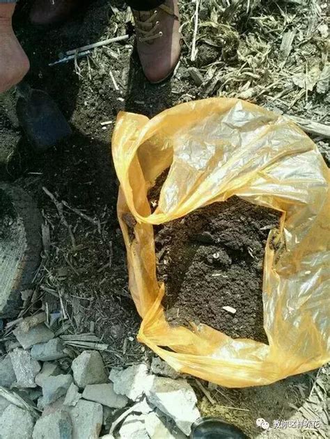 花土裡有飛蟲套在塑膠袋里薰2次1個蟲都找不到 每日頭條
