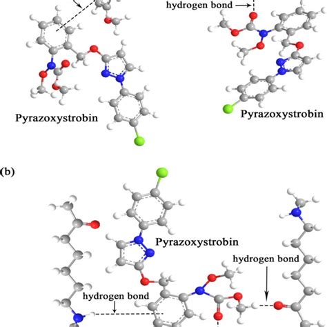 Schematic Diagram Of The Adsorption Mechanisms Of Pyraclostrobin By Download Scientific Diagram