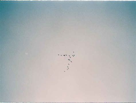 Entity Framework Migrations With Sql Server Script Bytes