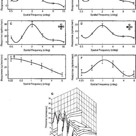 Subfield Sf Selectivity Of V4 Neurons A D Responses Of The Cell Of Download Scientific