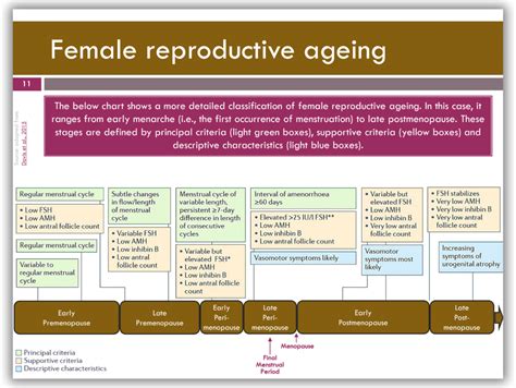Female Reproductive Ageing The Health Sciences Academy