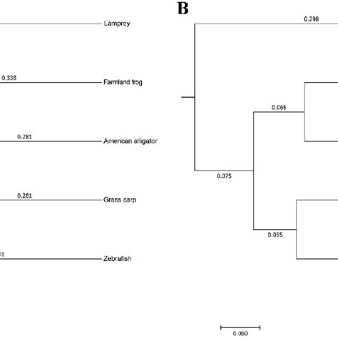 Upgma Analysis Clustering Analysis Based On Unifrac Distance Matrix Download Scientific