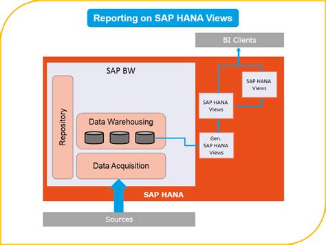 Strategic Decisions Making Through Sap Bw And Hana Pikon