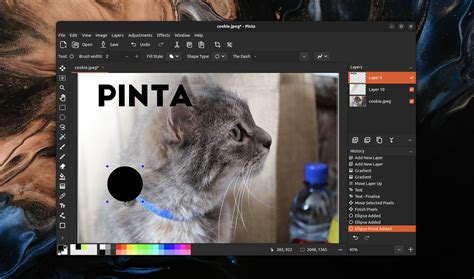 Pinta 21 Released With Webp Support Wayland Tweaks More Omg Ubuntu