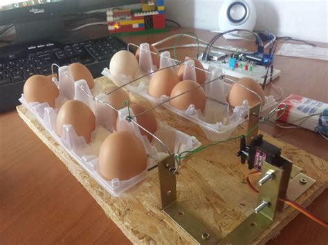 the arduino chicken incubator 7 steps instructables