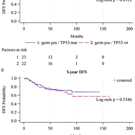 Tumor Tp53 Mutations Diversely Affect Dfs According To Germline