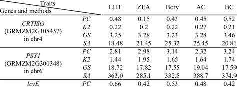 Phenotype Snp Network Learning Time Comparison Of Dif Ferent Genes And Download Scientific