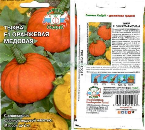 Тыква Медовая: характеристика и описание гибридного сорта с фото