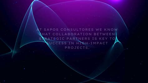 Sap Sapconsulting Sapexperts Sapbusiness Sapos Consultores S A De C V