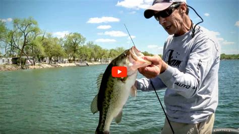 Swimbait Bass Early Season Bass Tactics Angling Edge