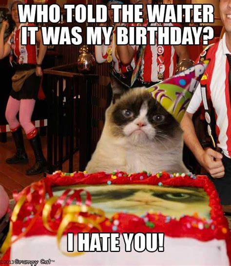 43 Grumpy Cat Ideas Grumpy Cat Grumpy Cat Humor Grumpy Cat Quotes