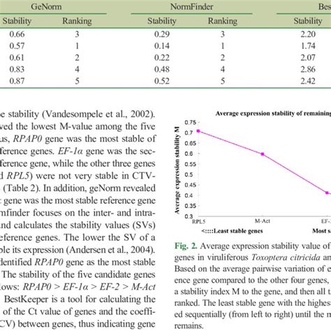 Optimal Number Of Reference Genes For Normalization In Viruliferous Download Scientific Diagram