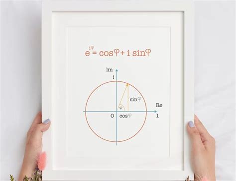 Eulers Formula Question And Identity Are One Of The Most Beutiful