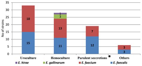 Applied Sciences Free Full Text Prevalence And Antibiotic