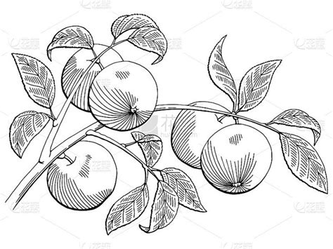 苹果图形黑白孤立素描插图矢量