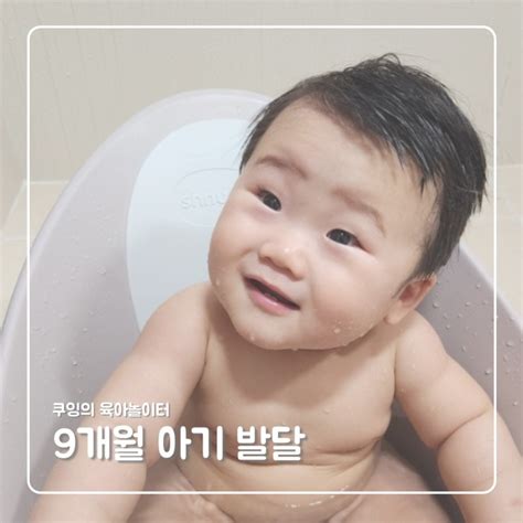 9개월 아기 발달 키 몸무게 낮잠 이유식양 분유량 장난감 네이버 블로그