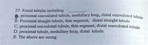Solved Renal Tubular Including A Proximal Convoluted Tubule Medullary Loop Distal Convoluted