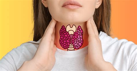 Thyroid Gland How To Balance Its Hormones