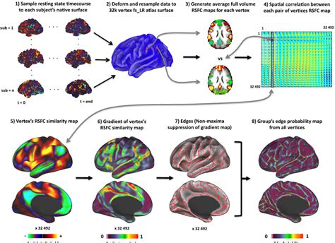 Ohbm 2024 Human Cerebral Cortex Organization Estimated By Functional