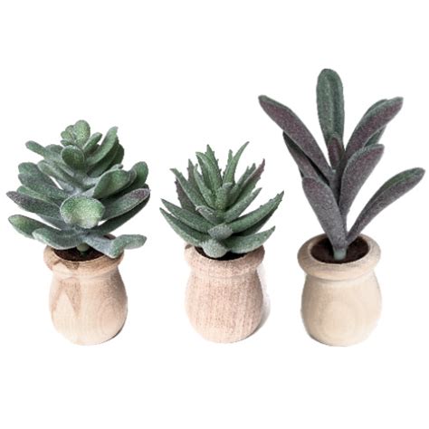 Eo Diffusers Plus Added A New Photo Eo Diffusers Plus