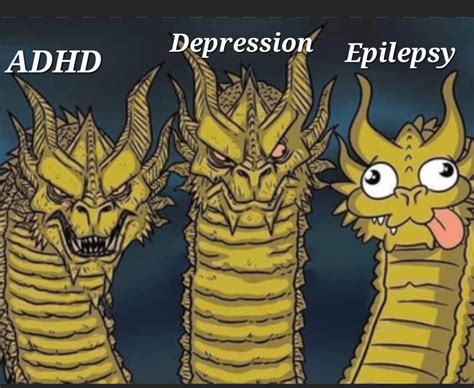 The Memory Issue Thing Radhdmeme