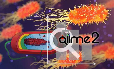 microbiome analysis using qiime2 bioinformatics uw madison