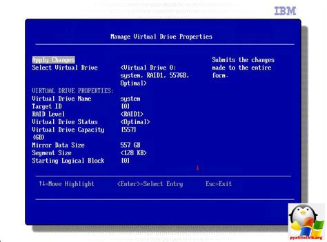 Ibm server raid manager Вэб шпаргалка для интернет предпринимателей