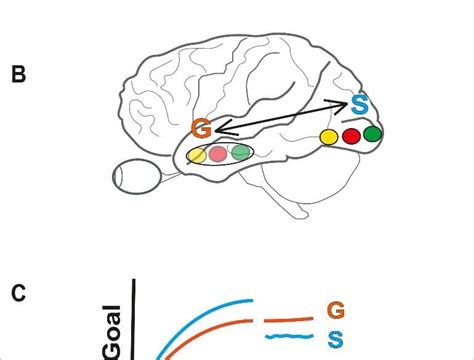 Learning Variability News Research Articles