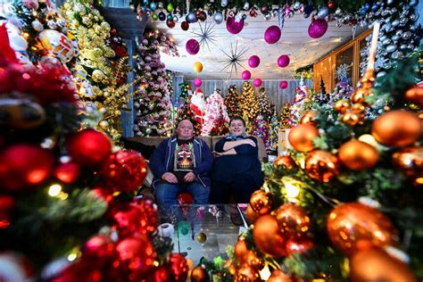 Фотогалерия 555 коледни елхи