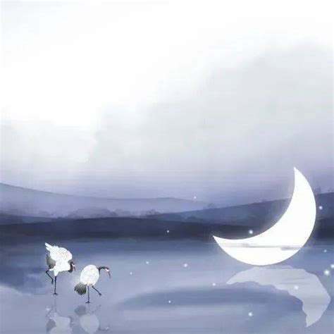 有声阅读丨白露：露从今夜白，月是故乡明舍弟杜甫徐柳艳