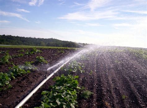 Why Flow Meters Are Important For Irrigation Systems Chemtec