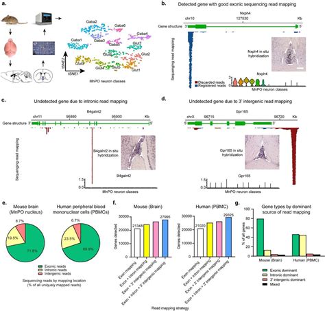 Enhanced Recovery Of Single Cell RNA Sequencing Reads For Missing Gene Expression Data RNA Seq