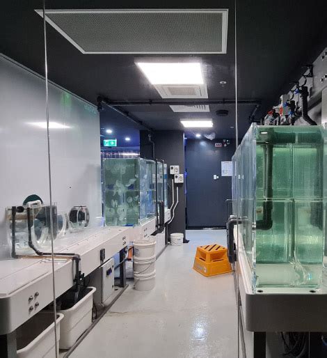 Lab Conformance Validation And Testing Danta Technologies