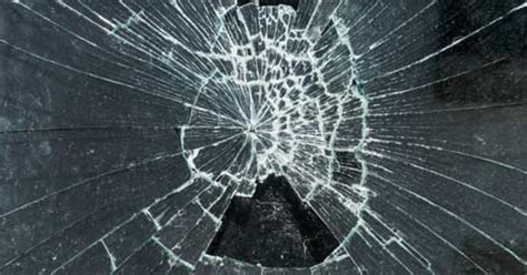 White Paper 7 Reasons Why Erp Systems Fail 123insight