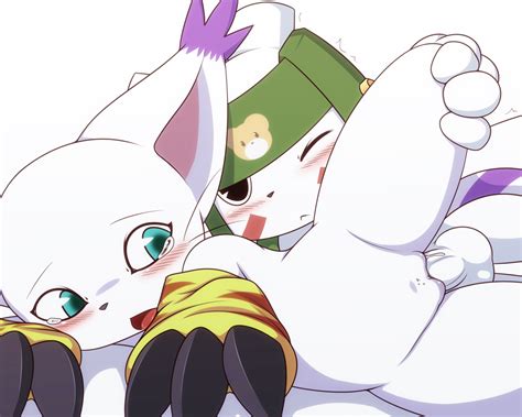 Rule 34 Anthro Balls Bear Blush Chakkumon Digimon Digimon Species