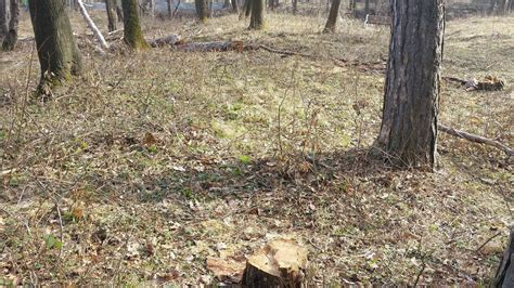 В Тетевен бе извършено пролетно почистване Новини бг