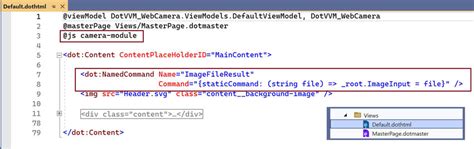 Dotvvm Webcam With Net And Js Directive