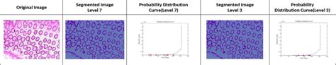 Proposed 2dreca Segmentation For Seven‐level And Three‐level