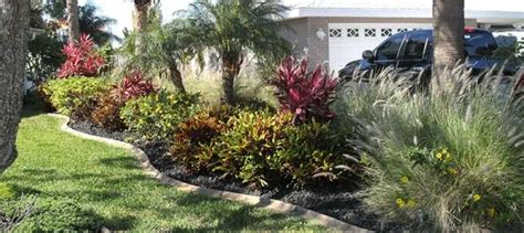 Benefits Of Planting Shrubs In Your Landscape Oasis Palms Landscaping