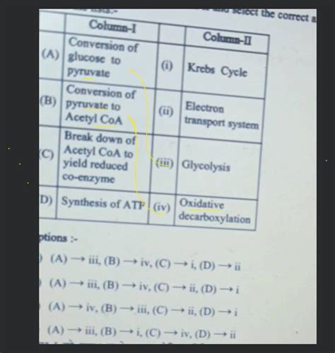 Column Icolumn Iia Begin Array L Text Conversion Of Text Gluco