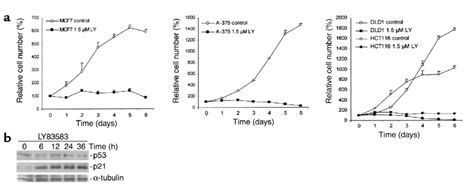 Effects Of Ly On Epithelial Cancer Cells A Growth Curves Of Mcf7