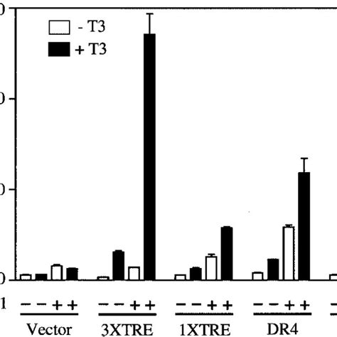 Pgc 1 Potentiates Tr1 Transactivation In Hela Cells Hela Or Cv 1 Cells Download Scientific