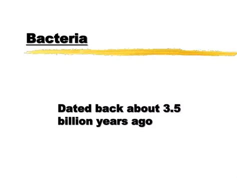 PPT Bacteria PowerPoint Presentation Free Download ID 6833510