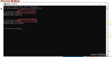 03、基础 概述 Mysql安装及启动03基础 概述 Mysql安装及启动 Csdn博客