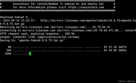 华为云云耀云服务器l实例评测java常见开发环境实操部署云服务器安装java Csdn博客