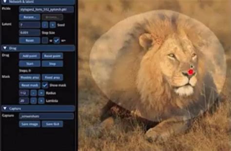 Reuven Cohen On Linkedin Drag Your Gan Interactive Point Based Manipulation On The Generative…