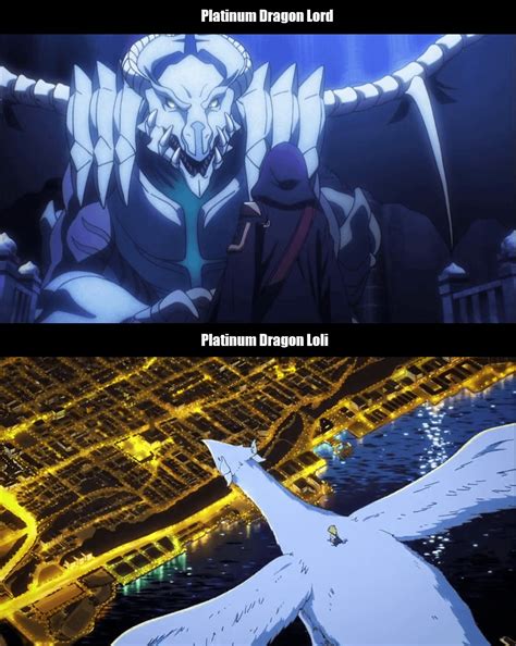 Pdl Vs Pdl Roverlord