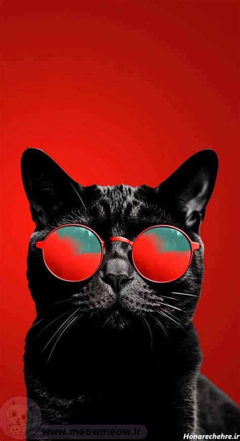 38 عکس از گل های زیبا و منظره های دلنشین