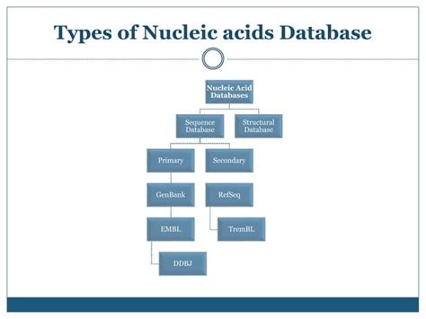 nucleic acid databases ndb of bioinformatics pptx ppt
