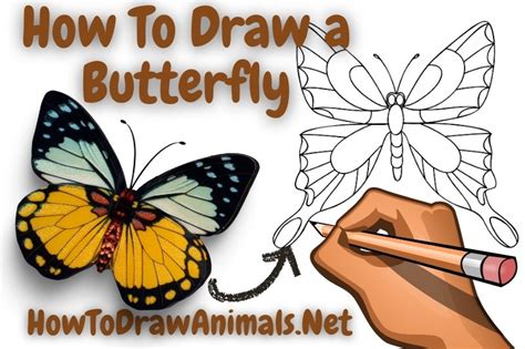 How To Draw A Jaguar Easy Drawing Tutorial